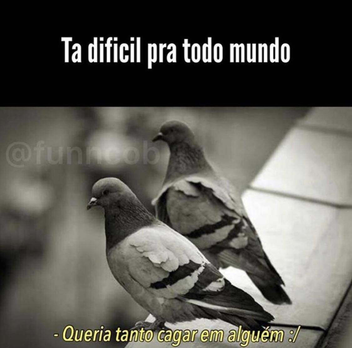 Quarentena: Diário da semana 3 em Isolamento social!